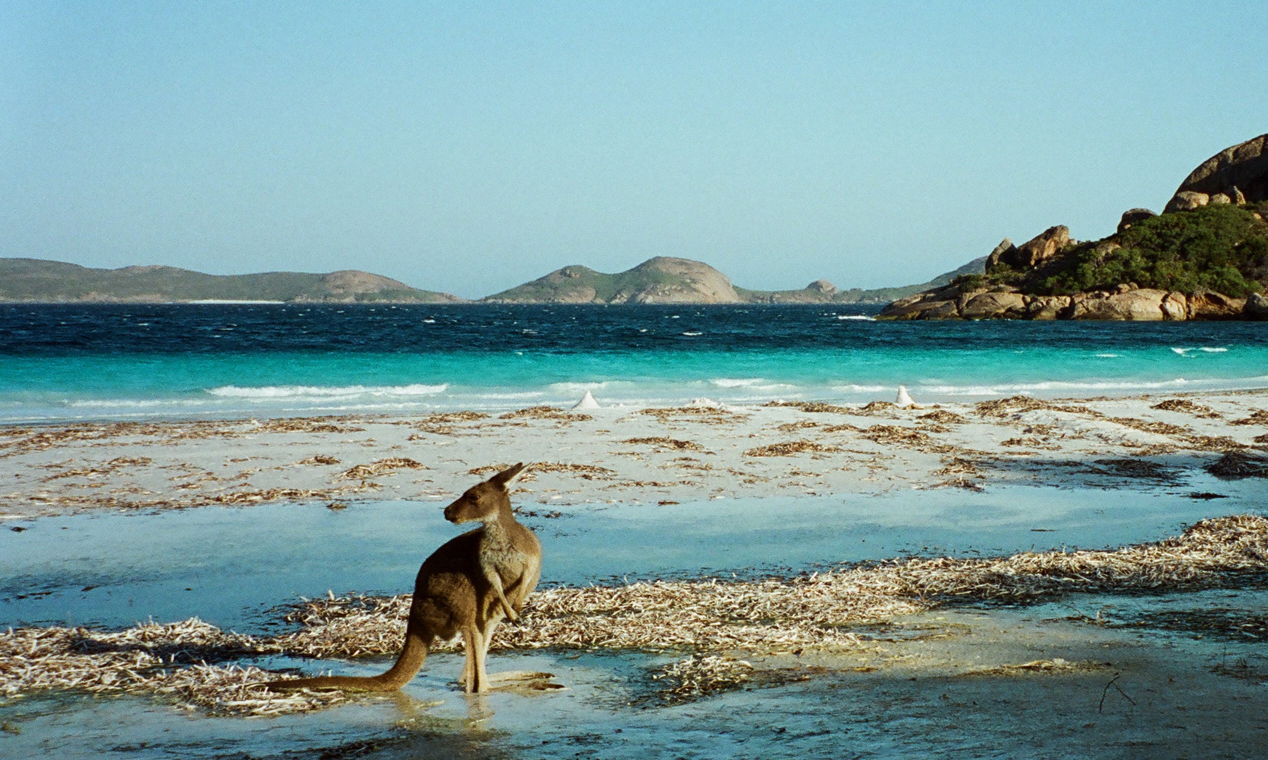 South Coast across the Great Australian Bight - E365